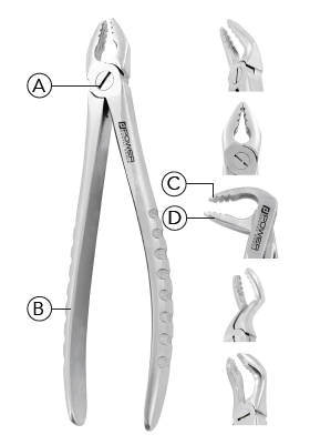 Forceps, Atraumatic Extraction, Set of 6 – AVACO DENTAL CANADA